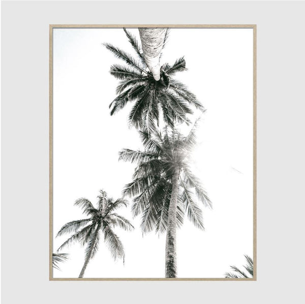 Large Palm Trees Canvas Art Prints